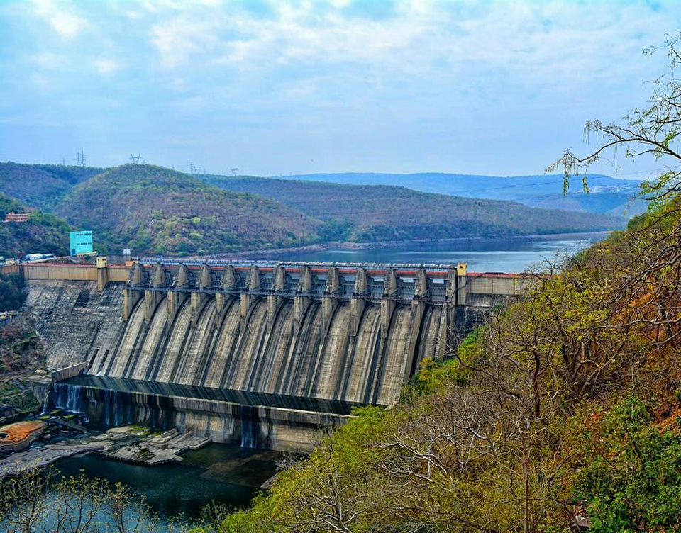 Exploring the Magnificence of Pong Dam - Jyoti Resorts